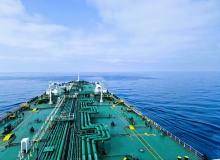 Our Fleet | Performance Shipping Inc